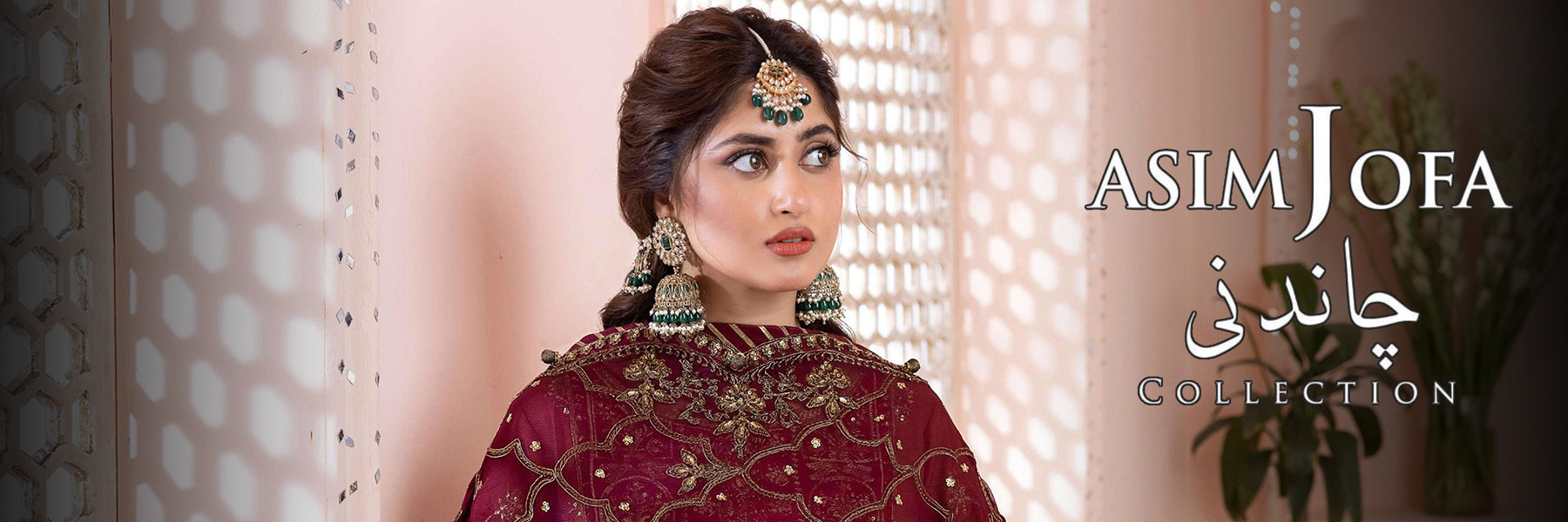 Chandni Luxury Chiffon '23 – Royal Fashion